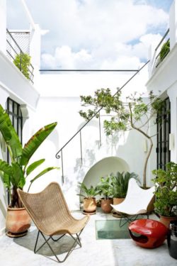 50+ courtyard garden Design Inspiration - The Architects Diary