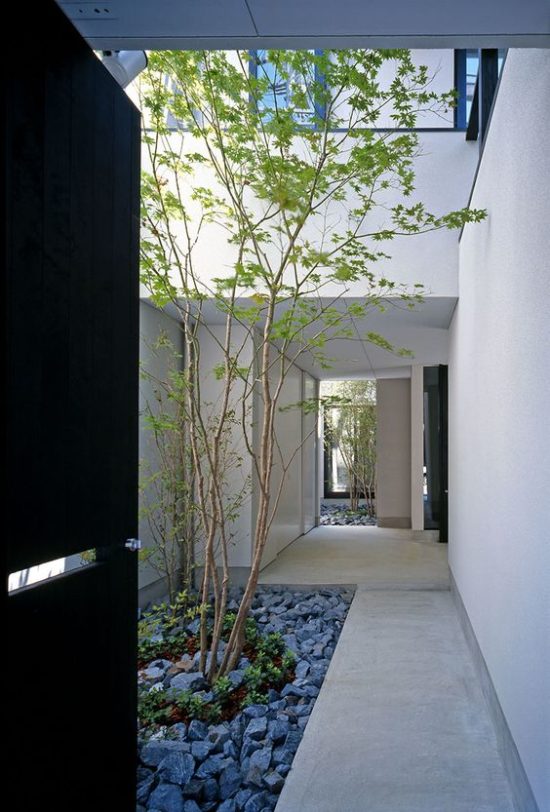 50+ courtyard garden Design Inspiration - The Architects Diary