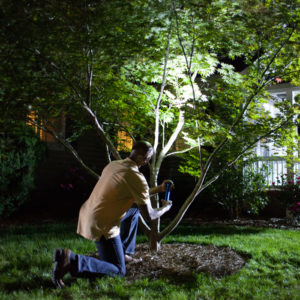 Landscape Design - Solar Powered Spotlights for Your Landscape - The ...