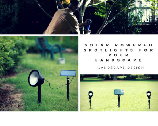 Solar Powered Spotlights for Your Landscape - The Architects Diary