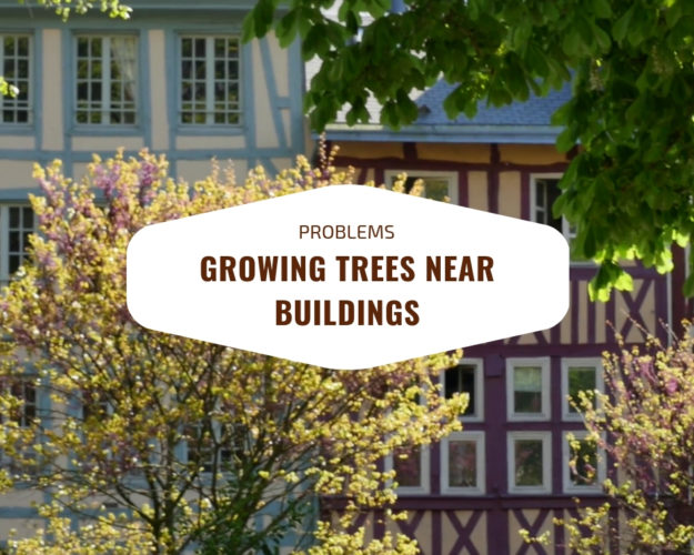 5 Things You Need to Think About When Repairing a Building's ...