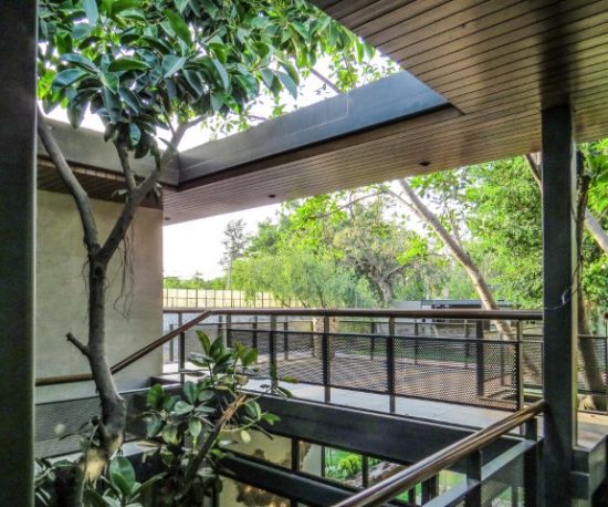 Treehouse Office Project | Flyyingseeds studio - The Architects Diary