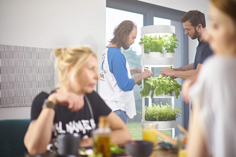 A Fully Automated Gardening System | Robert Paluch - The Architects Diary