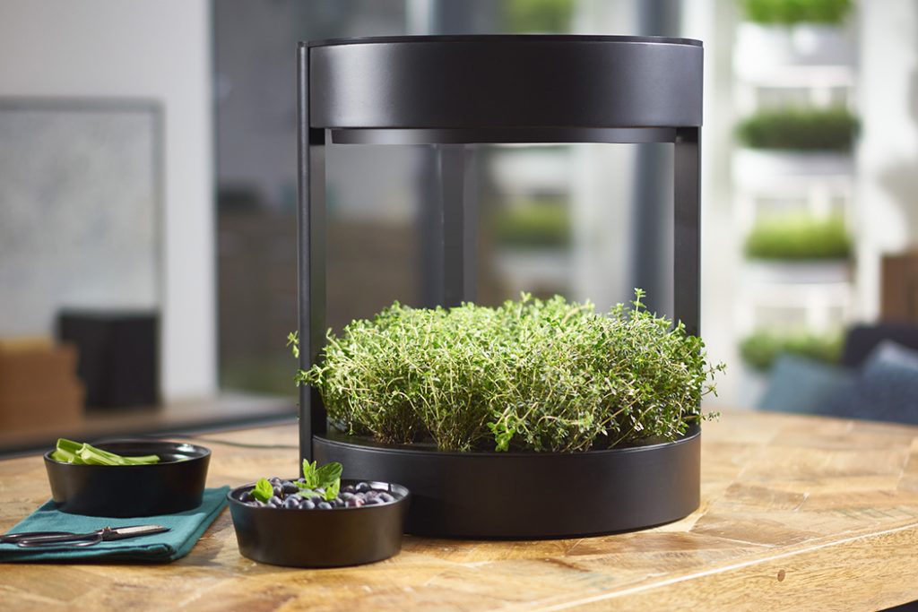 A Fully Automated Gardening System | Robert Paluch - The Architects Diary