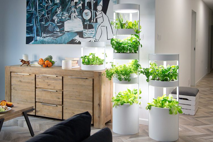 A Fully Automated Gardening System | Robert Paluch - The Architects Diary