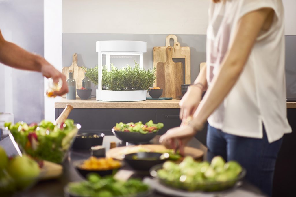 A Fully Automated Gardening System | Robert Paluch - The Architects Diary