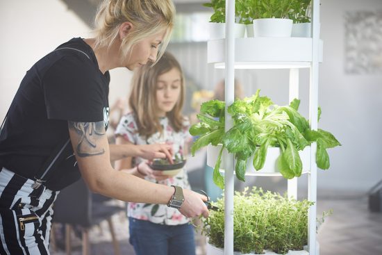 A Fully Automated Gardening System | Robert Paluch - The Architects Diary