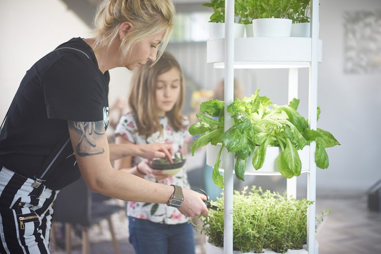 A Fully Automated Gardening System | Robert Paluch - The Architects Diary