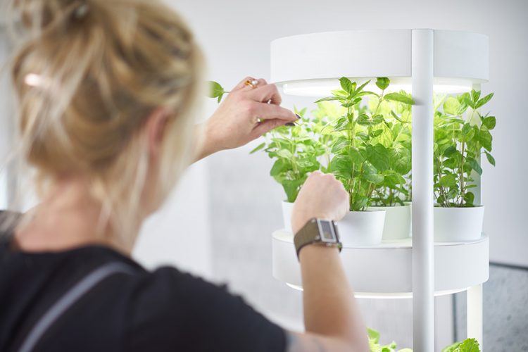 A Fully Automated Gardening System | Robert Paluch - The Architects Diary