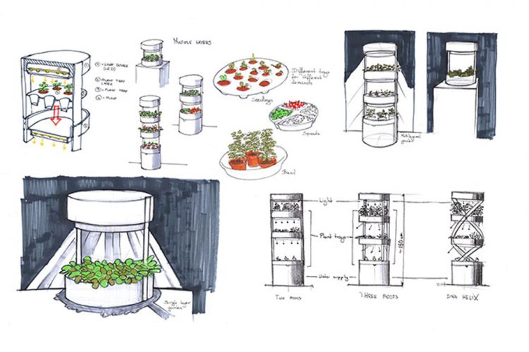A Fully Automated Gardening System | Robert Paluch - The Architects Diary