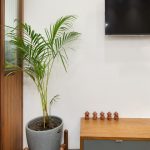 Doctor's Clinic Interior | Ananta interiors - The Architects Diary