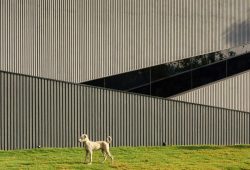 Pavilion Structure Transforms Itself Into A Dynamic Geometry | The BAD ...