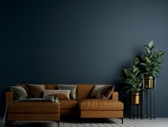 How To Choose Wisely From the C2 Paint 2020 Color Palette - The ...