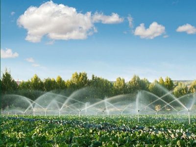 4 Tips to Choose Garden Irrigation System - The Architects Diary