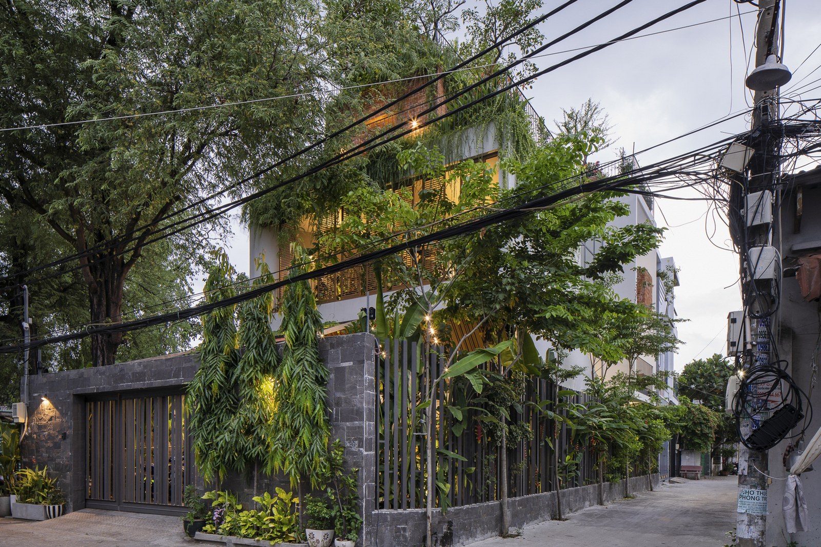 Design Stemmed from the Idea of Greenery, Light and Absolute Privacy ...