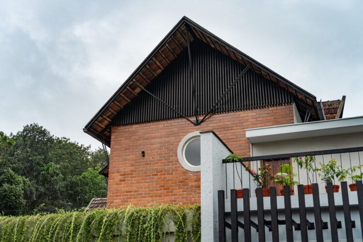 Earthy Sophistication with Whimsical Color Palette redefines ...