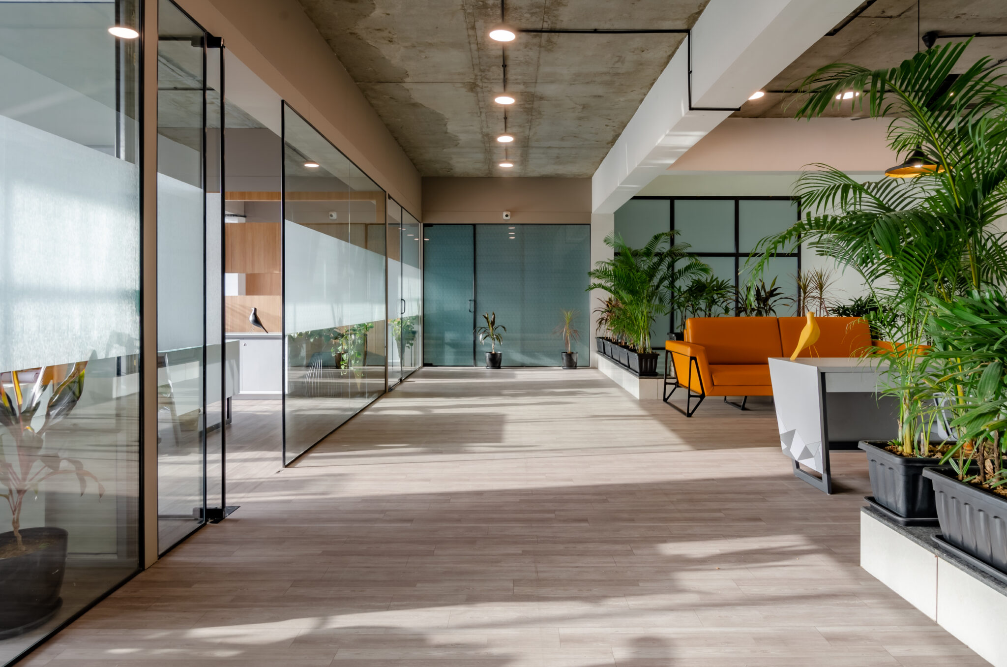 Minimally Rustic Office Space with an Artistic Side of Science & Nature ...