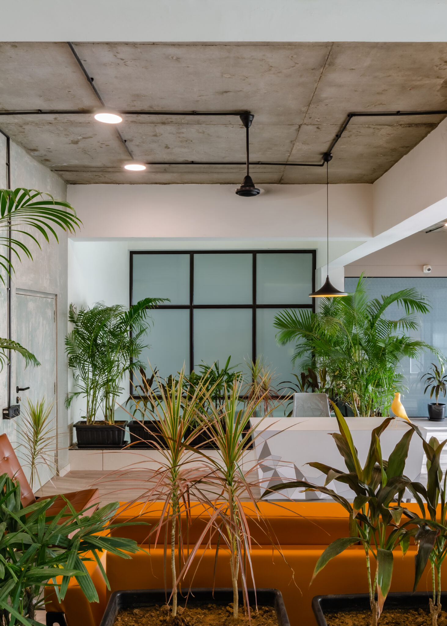 Minimally Rustic Office Space with an Artistic Side of Science & Nature ...