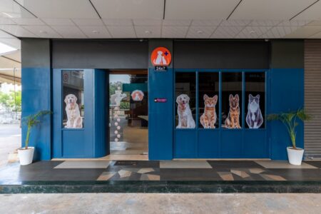 Fur Family Haven: A Pet Shop and Clinic with Strikingly Playful Design ...