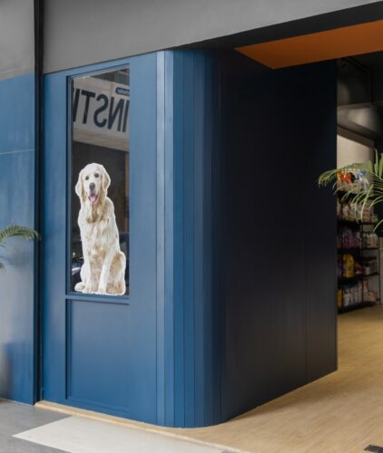 Fur Family Haven: A Pet Shop and Clinic with Strikingly Playful Design ...