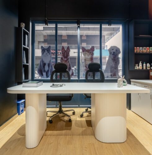 Fur Family Haven: A Pet Shop and Clinic with Strikingly Playful Design ...