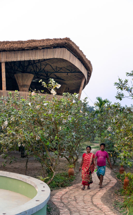 Residential Outhouse that Blends in with the Land Providing ...