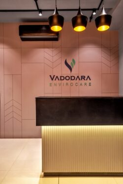 Providing This Environment Consultant Office With An Eco-Friendly ...