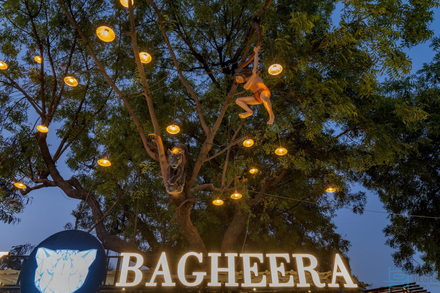 The Black Bagheera Cafe Is An Ideal Amalgam Of Quirky And Posh ...