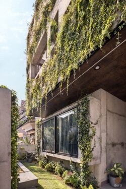 Communication With Spaces Through Green Design And Open Circulation ...