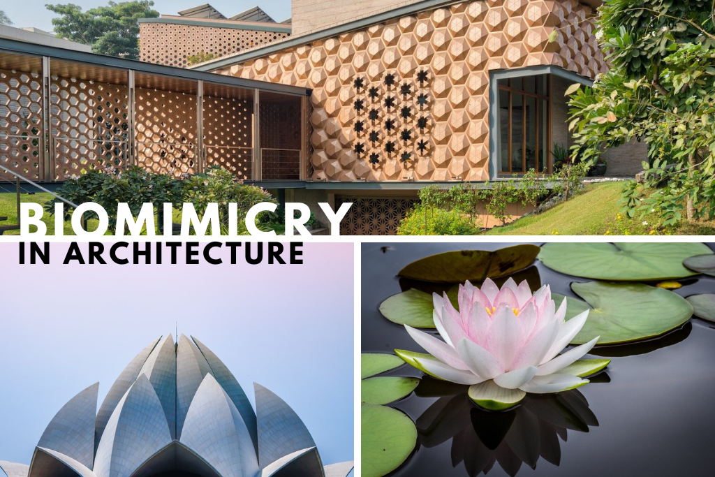 Biomimicry In Architecture Towards A Sustainable Approach The Biomimicry In Architecture Towards A Sustainable Approach The