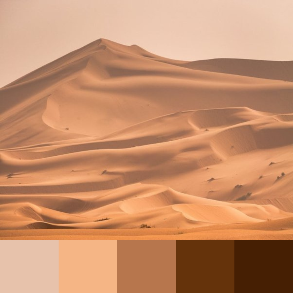 Indian Colour Palette: Unveiling the Spirit of a Diverse Culture