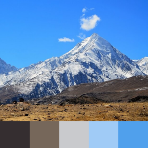 Indian Colour Palette: Unveiling the Spirit of a Diverse Culture