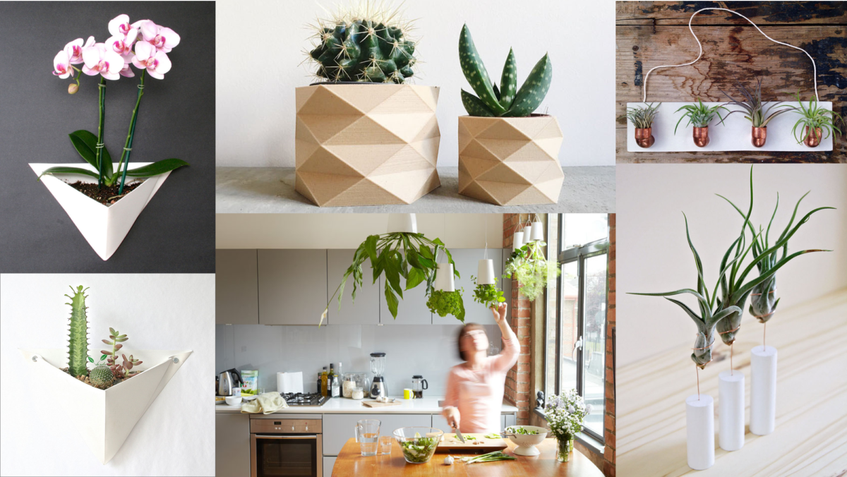 Indoor Garden Design: 16 Tips On How To Design