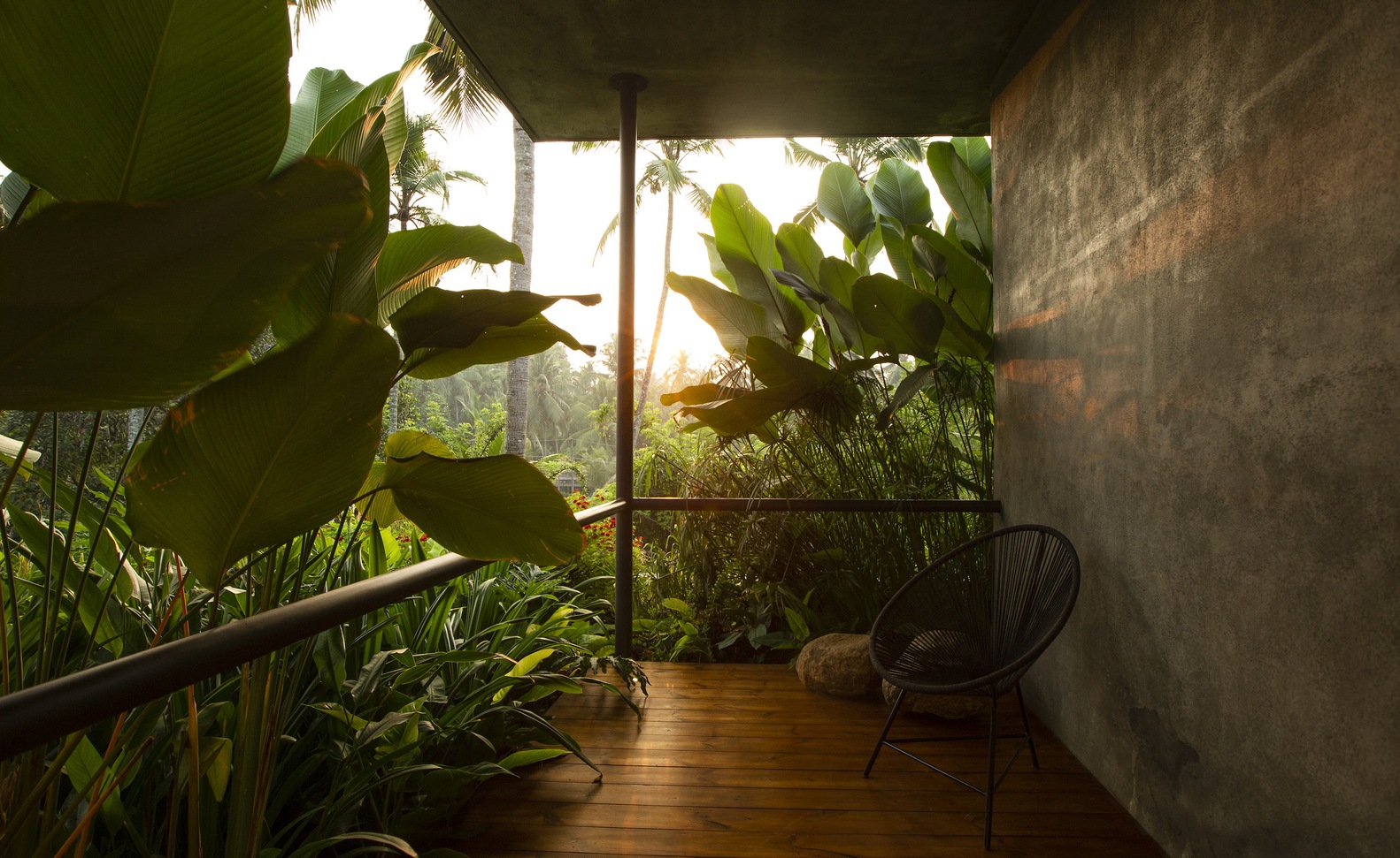 This Concrete House Design Is Set In A Site Covered In Coconut ...
