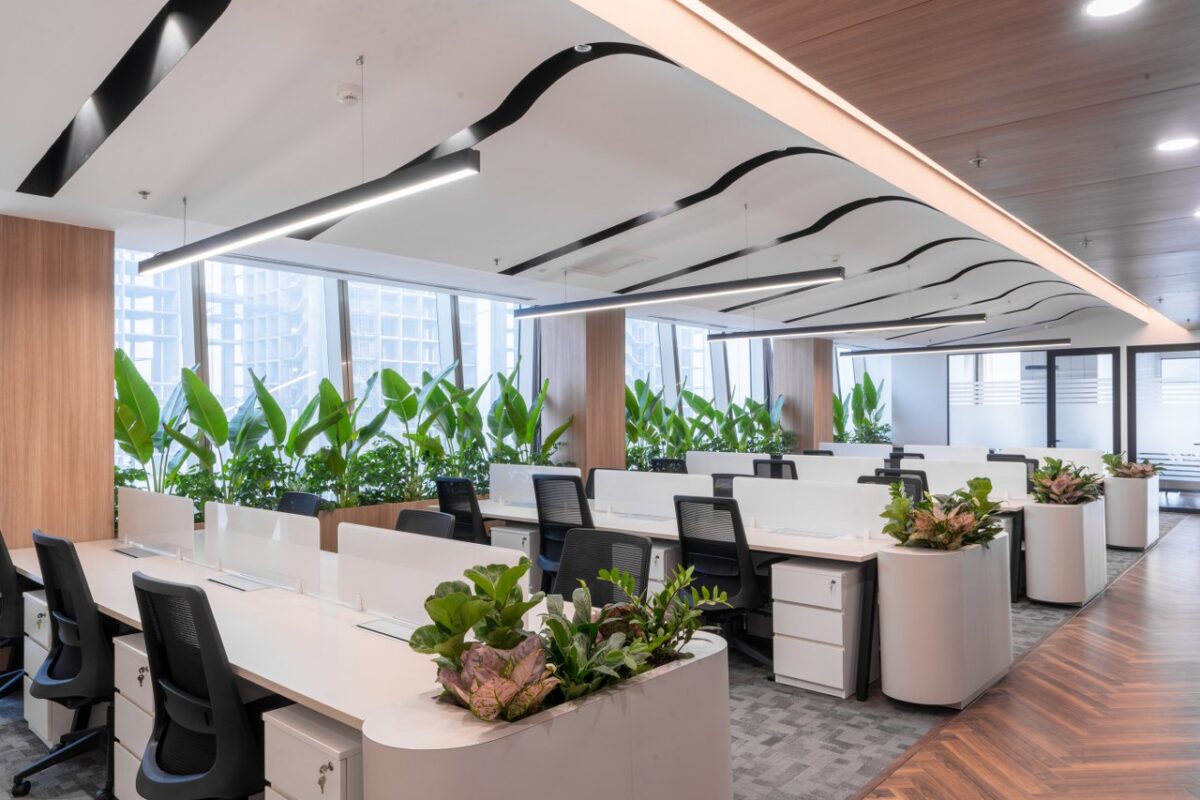 The Earthy Space Is A Blend Of Innovation And Practicality | EFI studio