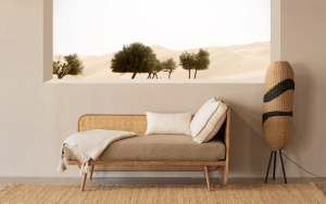 50 Unique Cane Furniture Ideas to Transform Your Space