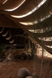 This Modern Mud House is Designed in a Vulnerable Ecosystem | Vy ...