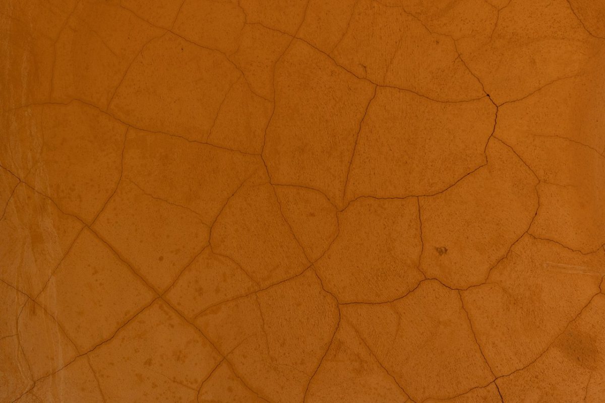 This Modern Mud House is Designed in a Vulnerable Ecosystem | Vy ...