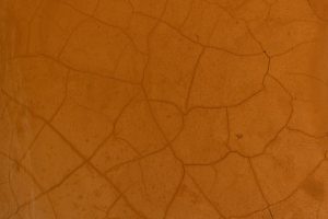 This Modern Mud House is Designed in a Vulnerable Ecosystem | Vy ...