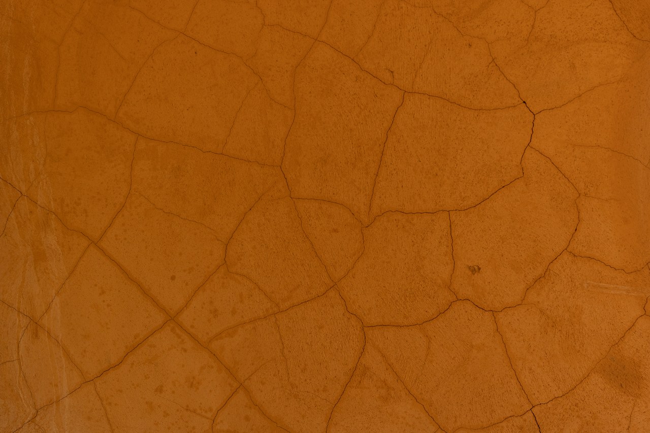 This Modern Mud House is Designed in a Vulnerable Ecosystem | Vy ...