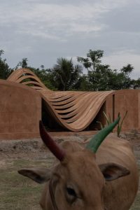 This Modern Mud House is Designed in a Vulnerable Ecosystem | Vy ...