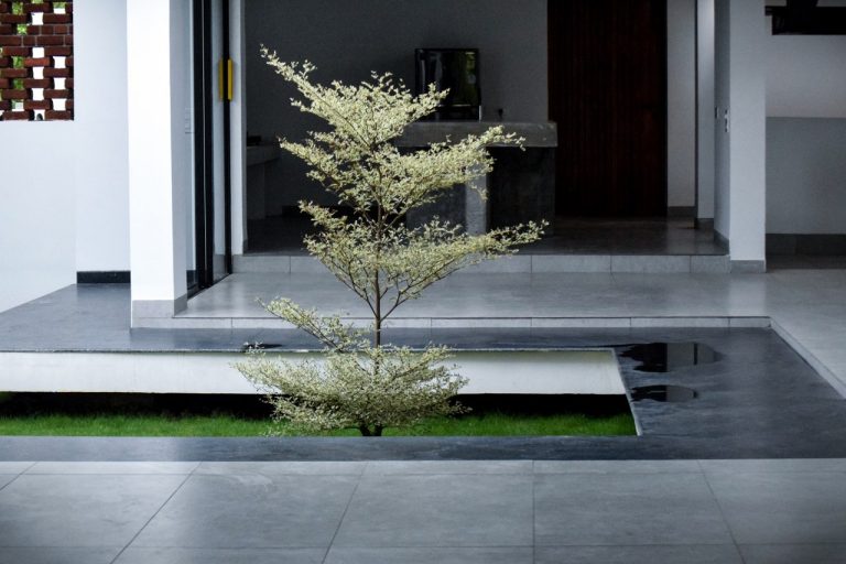 This Simple Contemporary House Emphasizes Minimalist Living | Bread ...