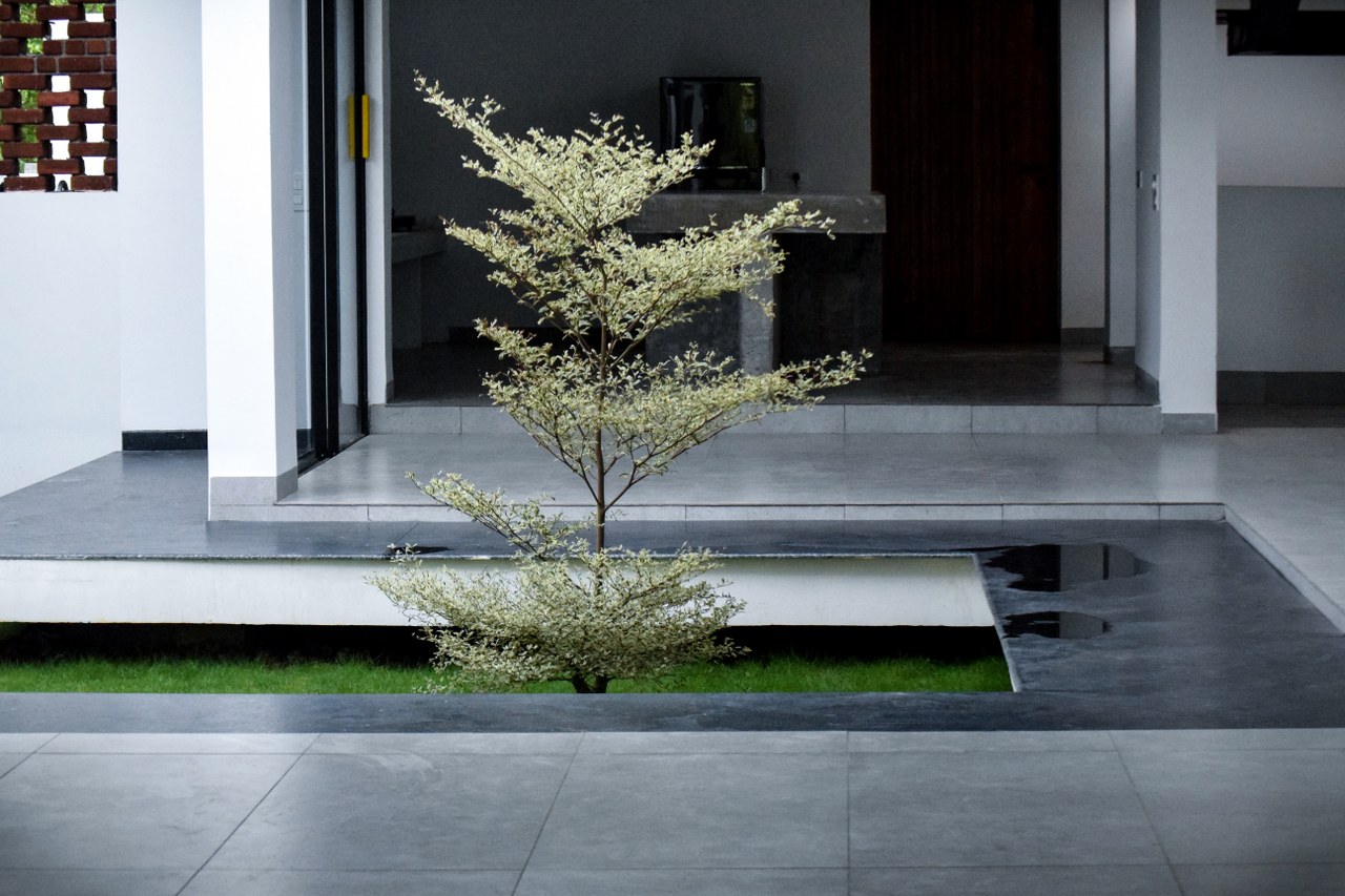 This Simple Contemporary House Emphasizes Minimalist Living | Bread ...