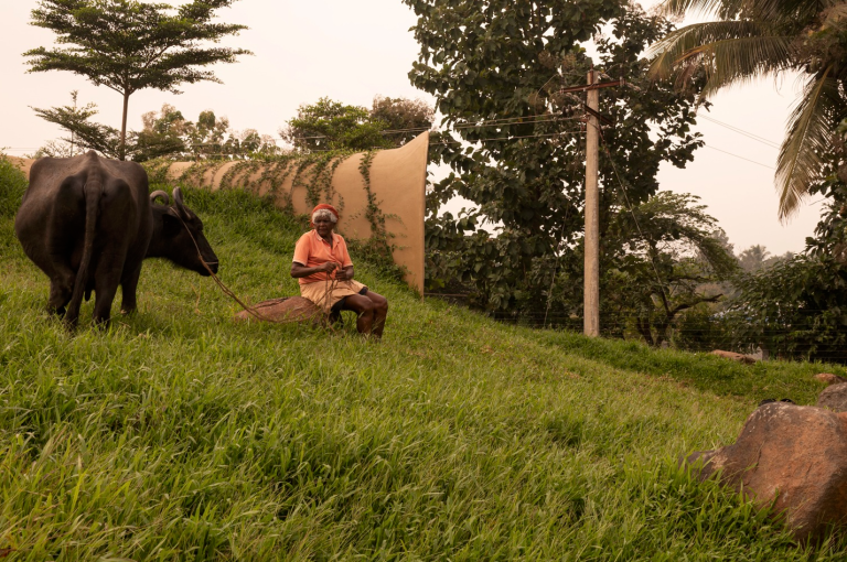 This Earthen Architecture Embraces Surrounding Verdant Landscape ...