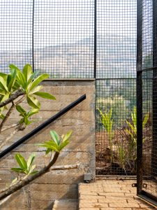 This Slope House Is A Functional Retreat Amidst Nature | Red Brick Studio