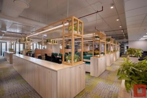 Plants for Office: 20 Inspiring Ideas To Transform Your Workspace