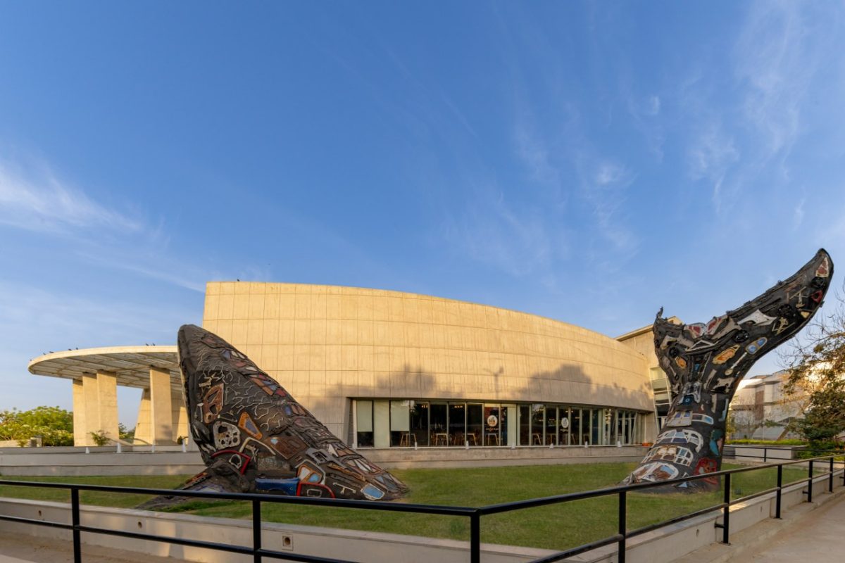This Aquatic Gallery In Ahmedabad Science City Is A Gateway To Marine ...