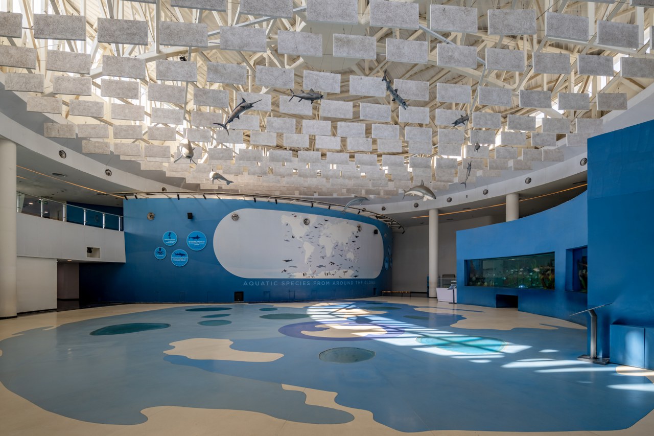 This Aquatic Gallery In Ahmedabad Science City Is A Gateway To Marine ...