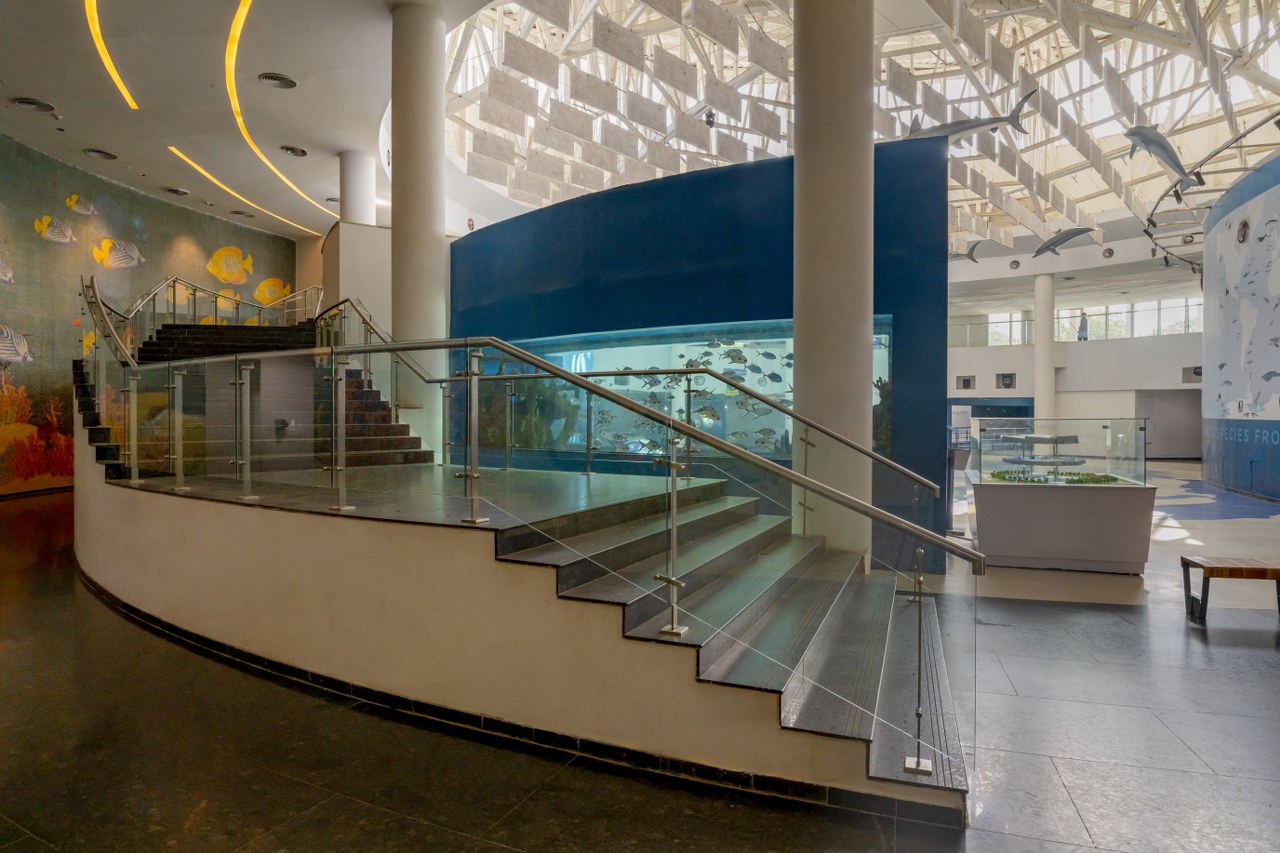 This Aquatic Gallery In Ahmedabad Science City Is A Gateway To Marine ...