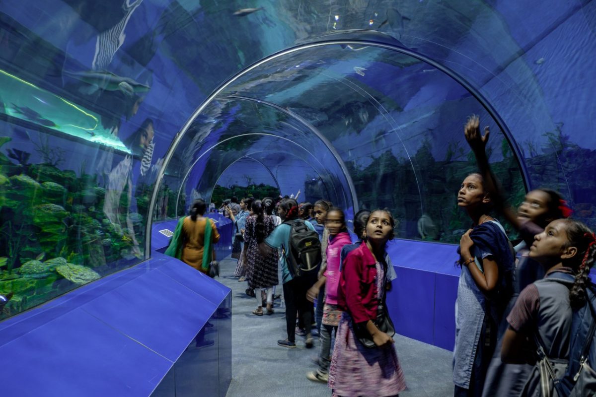 This Aquatic Gallery In Ahmedabad Science City Is A Gateway To Marine ...